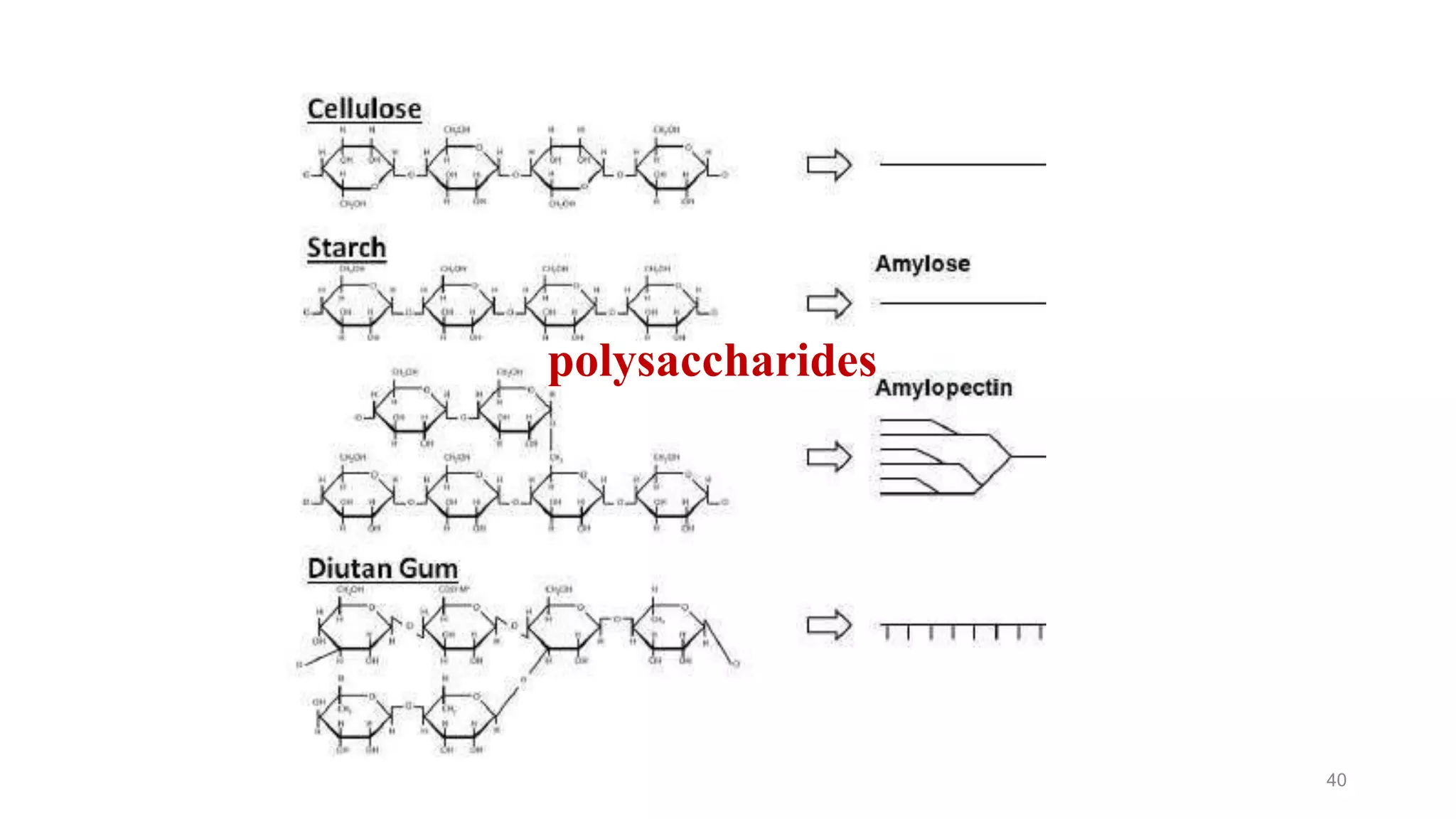 Class XII-Biomolecules | PPTX