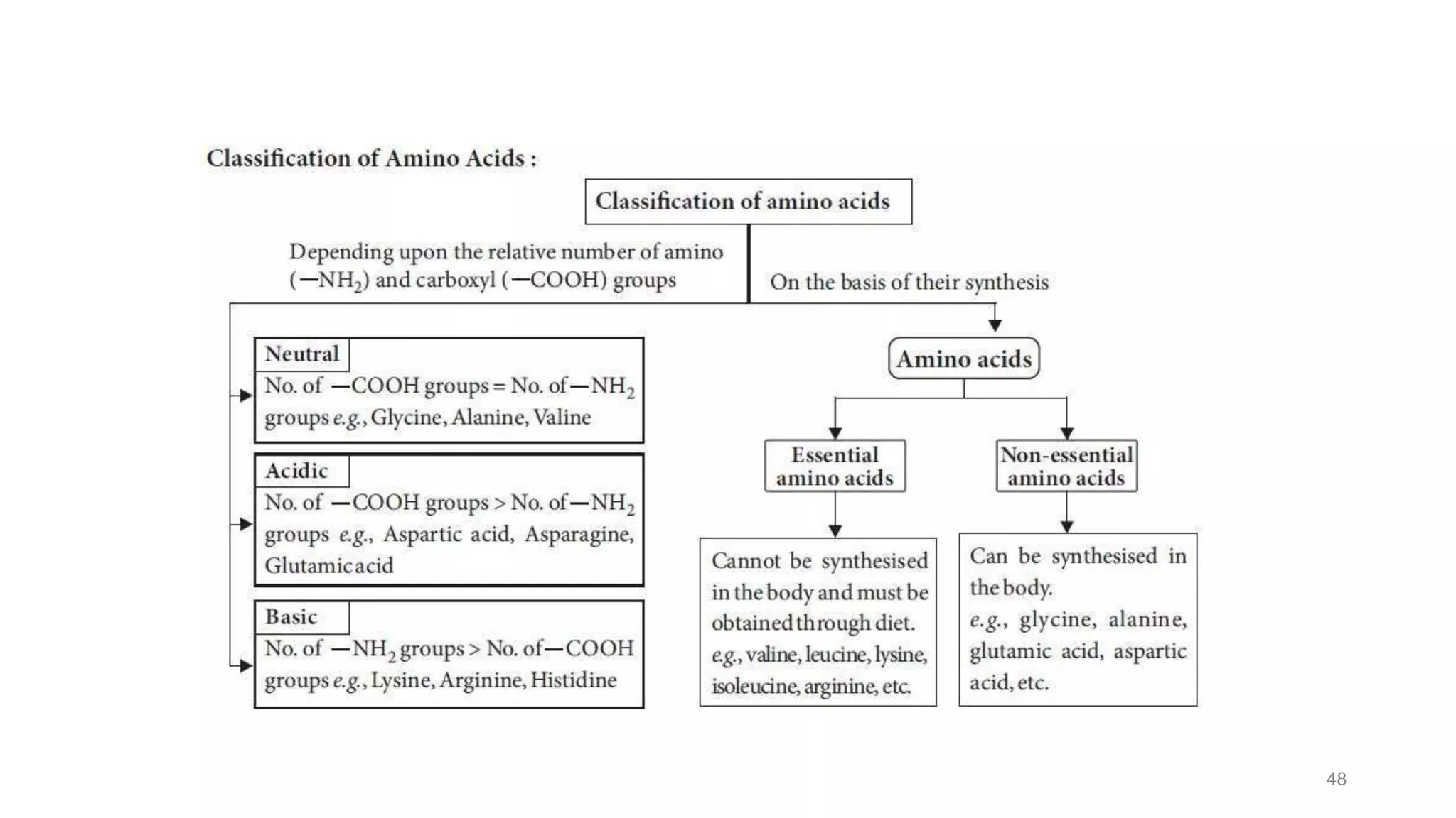 Class XII-Biomolecules | PPTX