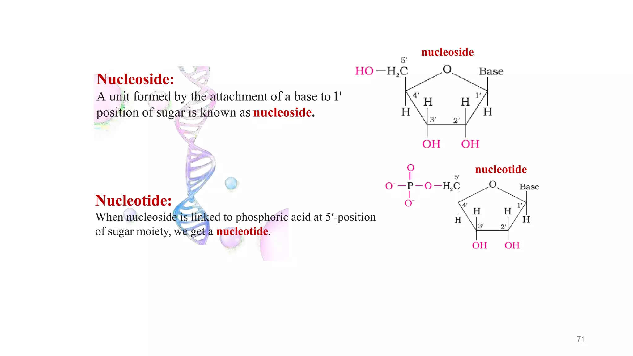 Class XII-Biomolecules | PPTX