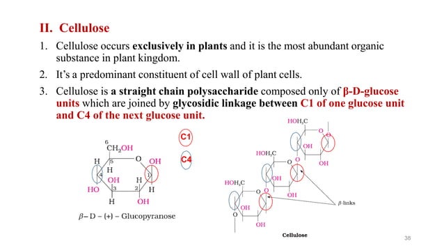 Class XII-Biomolecules | PPTX | Chemistry | Science