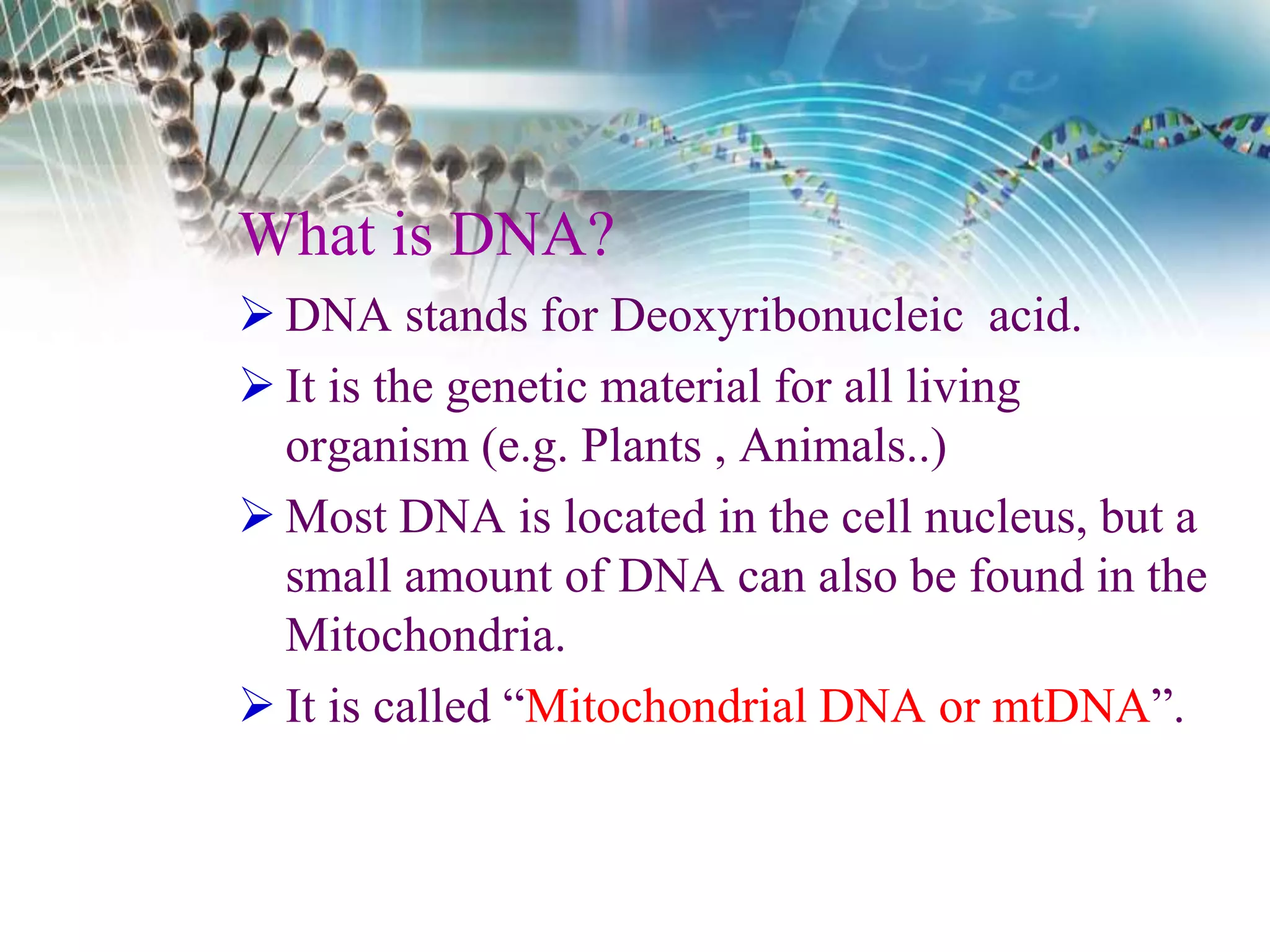 Structure of DNA | PPT