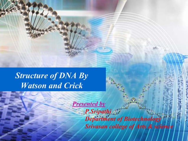Structure of DNA | PPT