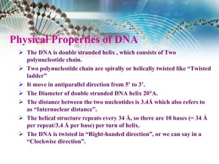 Structure of DNA | PPT