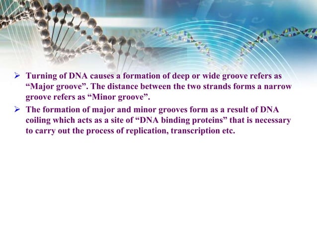 Structure of DNA | PPT