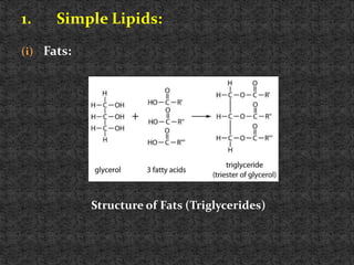 Biomolecules | PPTX