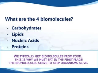 Biomolecules | PPTX