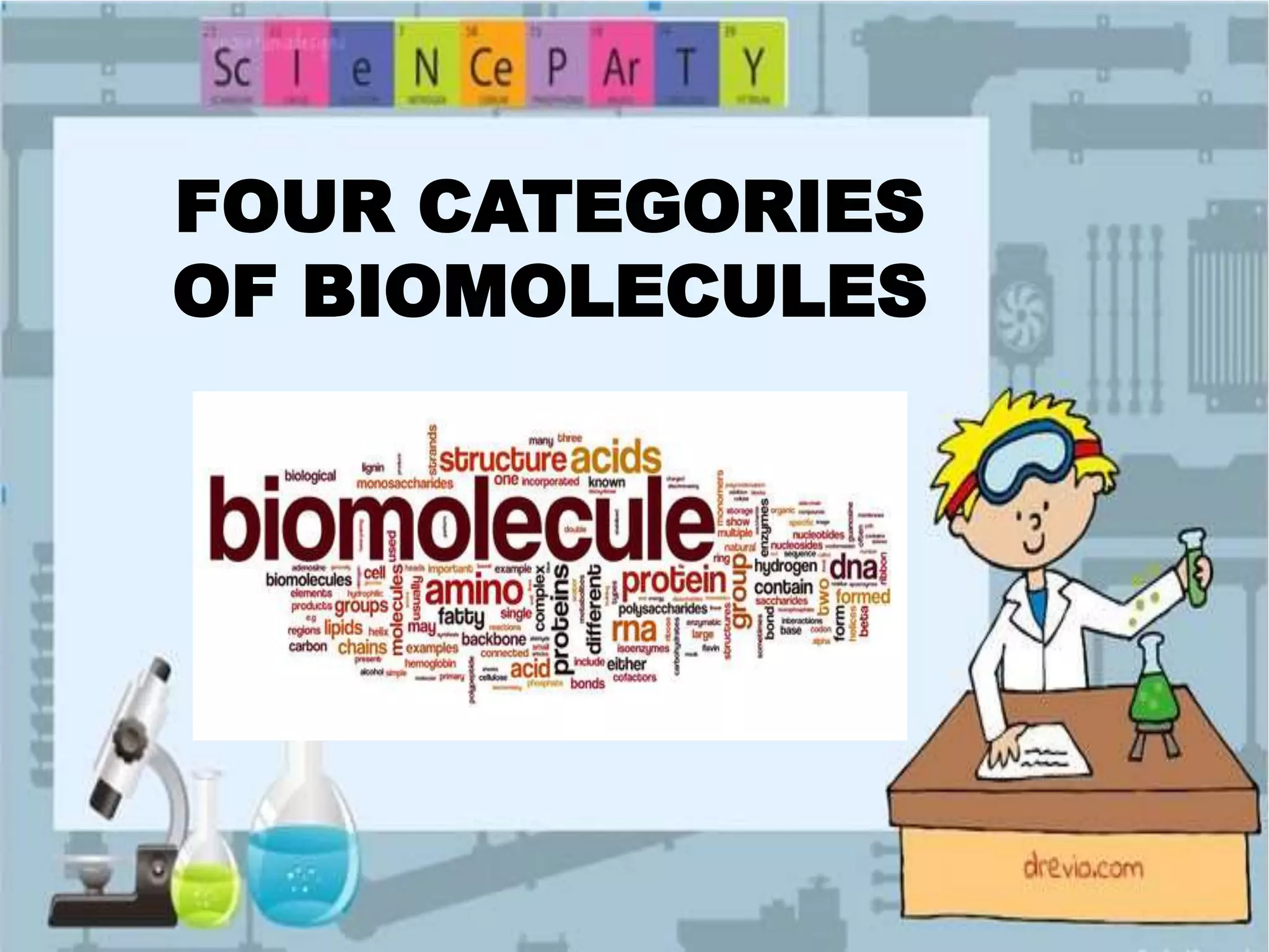 Four Major Biomolecule Categories | PPT