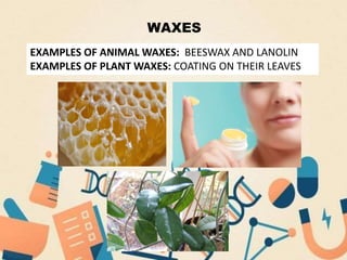BIOMOLECULES.pptx
