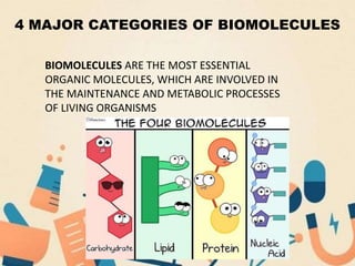 BIOMOLECULES.pptx