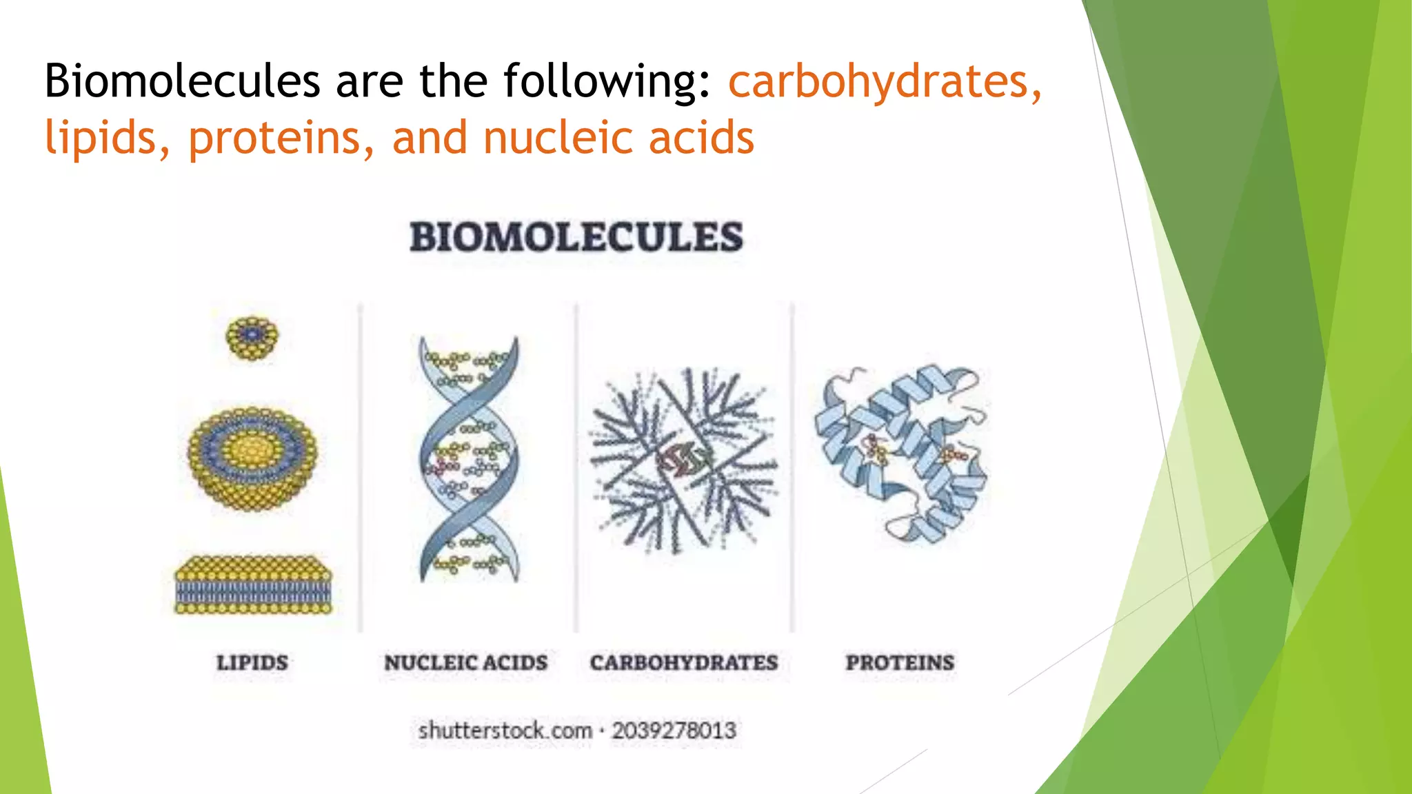 BIOMOLECULES.pptx | Nutrition | Healthy Living