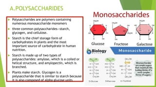 BIOMOLECULES.pptx | Nutrition | Healthy Living