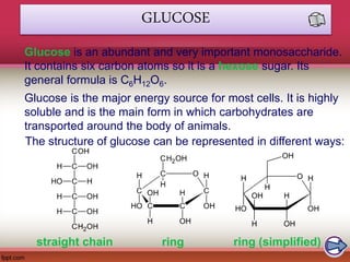 BIOMOLECULES.ppt.pptx