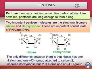 BIOMOLECULES.ppt.pptx