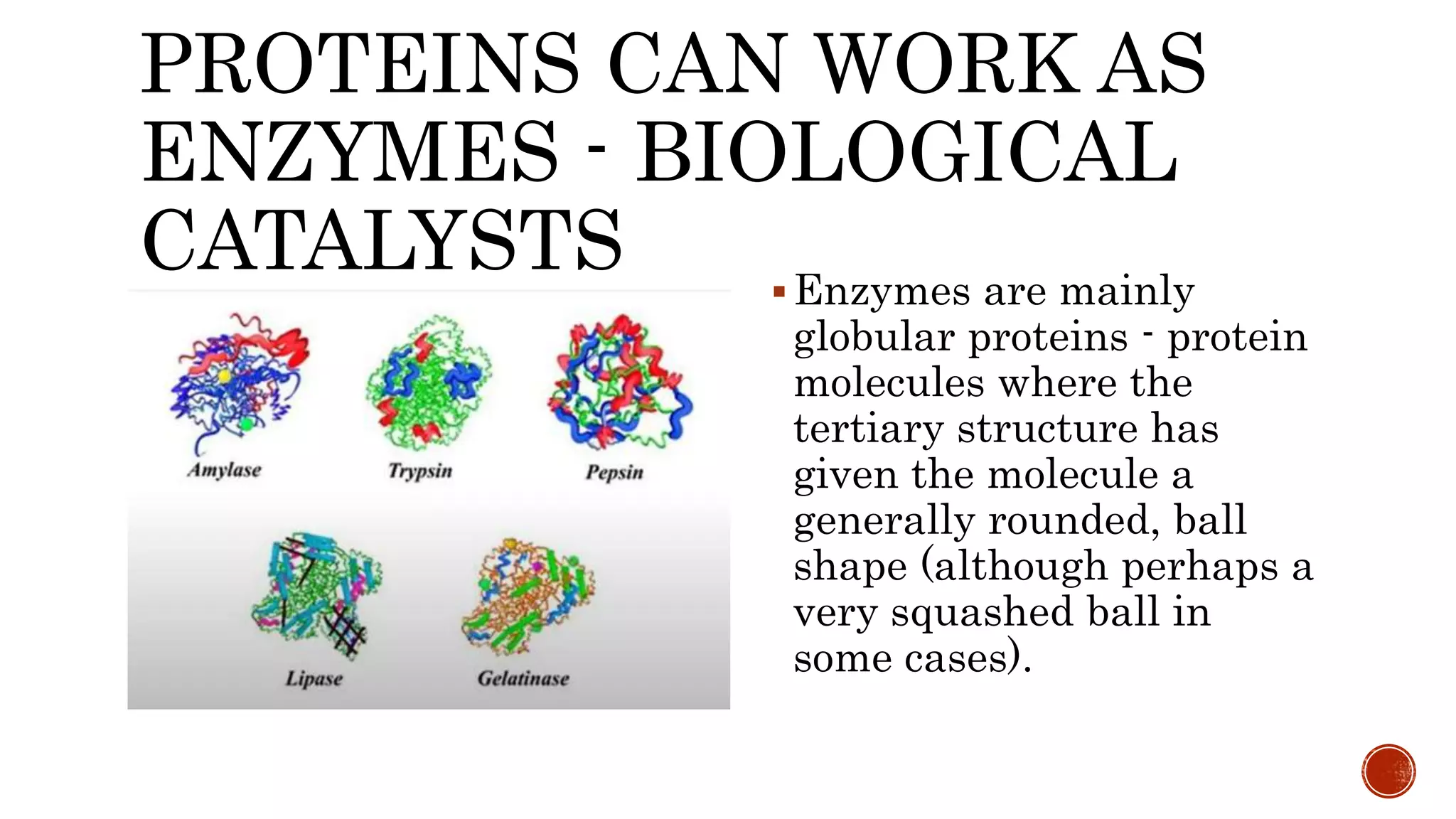 Biomolecules.pptx | Chemistry | Science