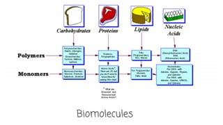 Biomolecules.pptx | Chemistry | Science