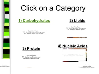 Biomolecules.ppt