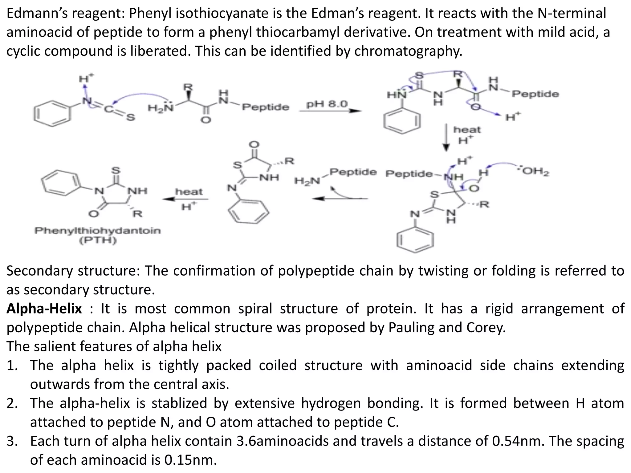 Biomolecules.ppt