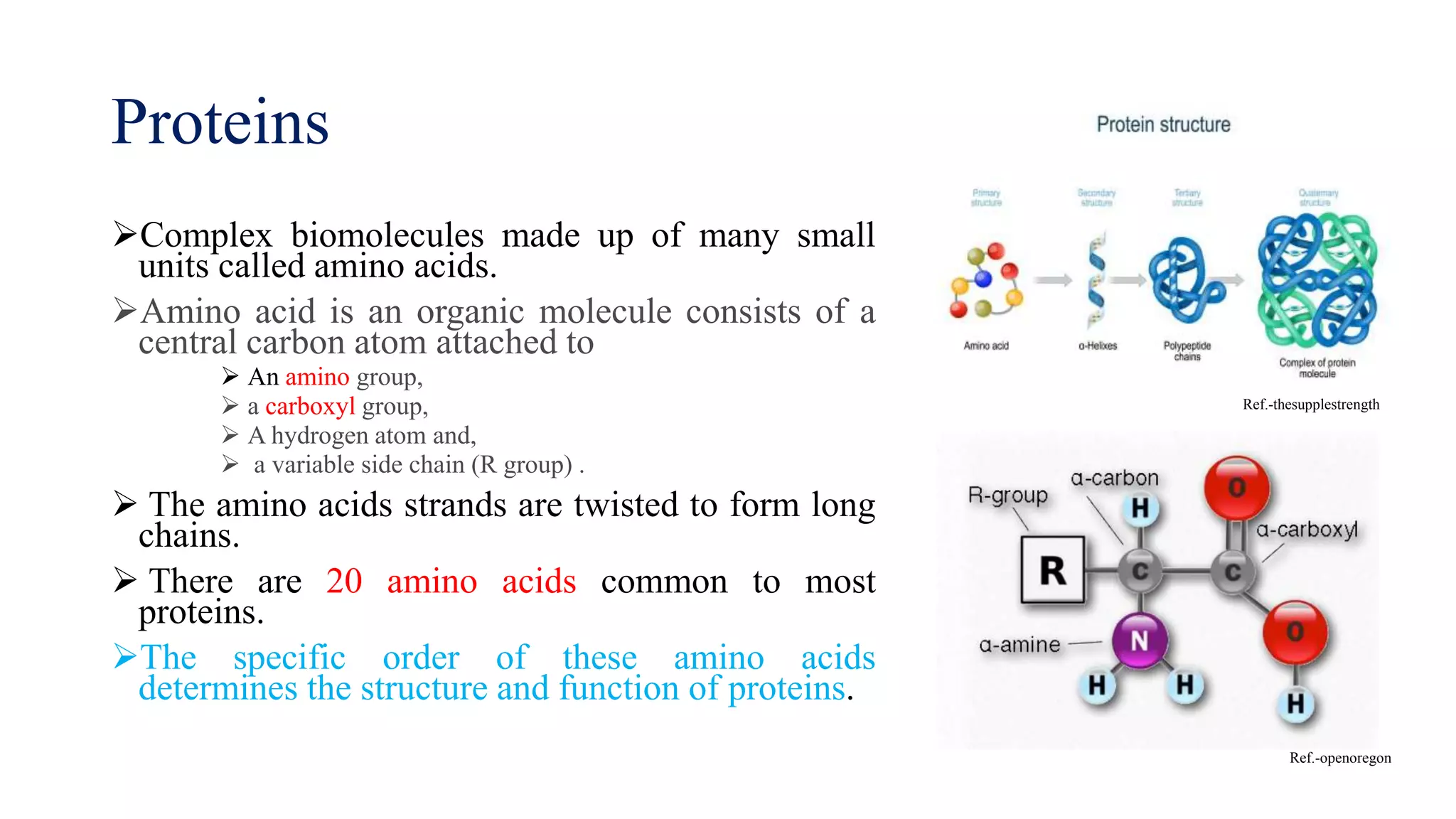 Biomolecules.pptx