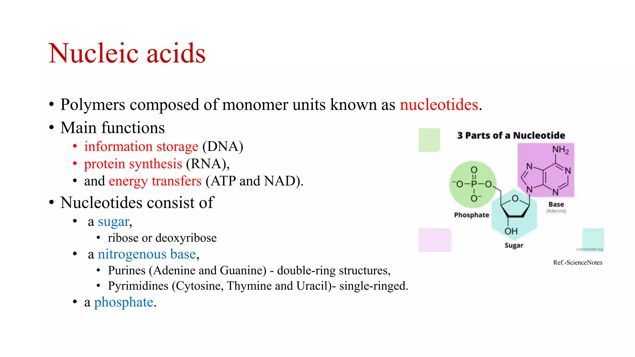 Biomolecules.pptx