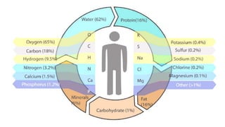 BIOMOLECULES.pptx