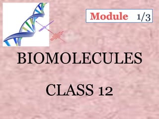 Biomolecules.pptx