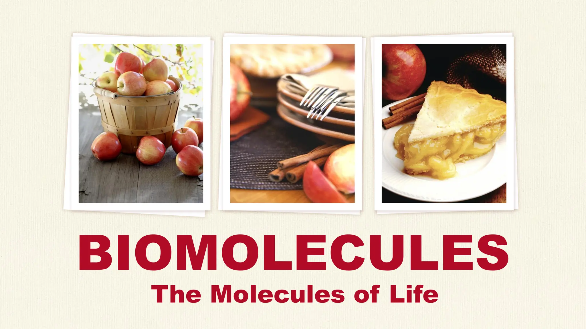 BIOMOLECULES_physical science presentation.pdf