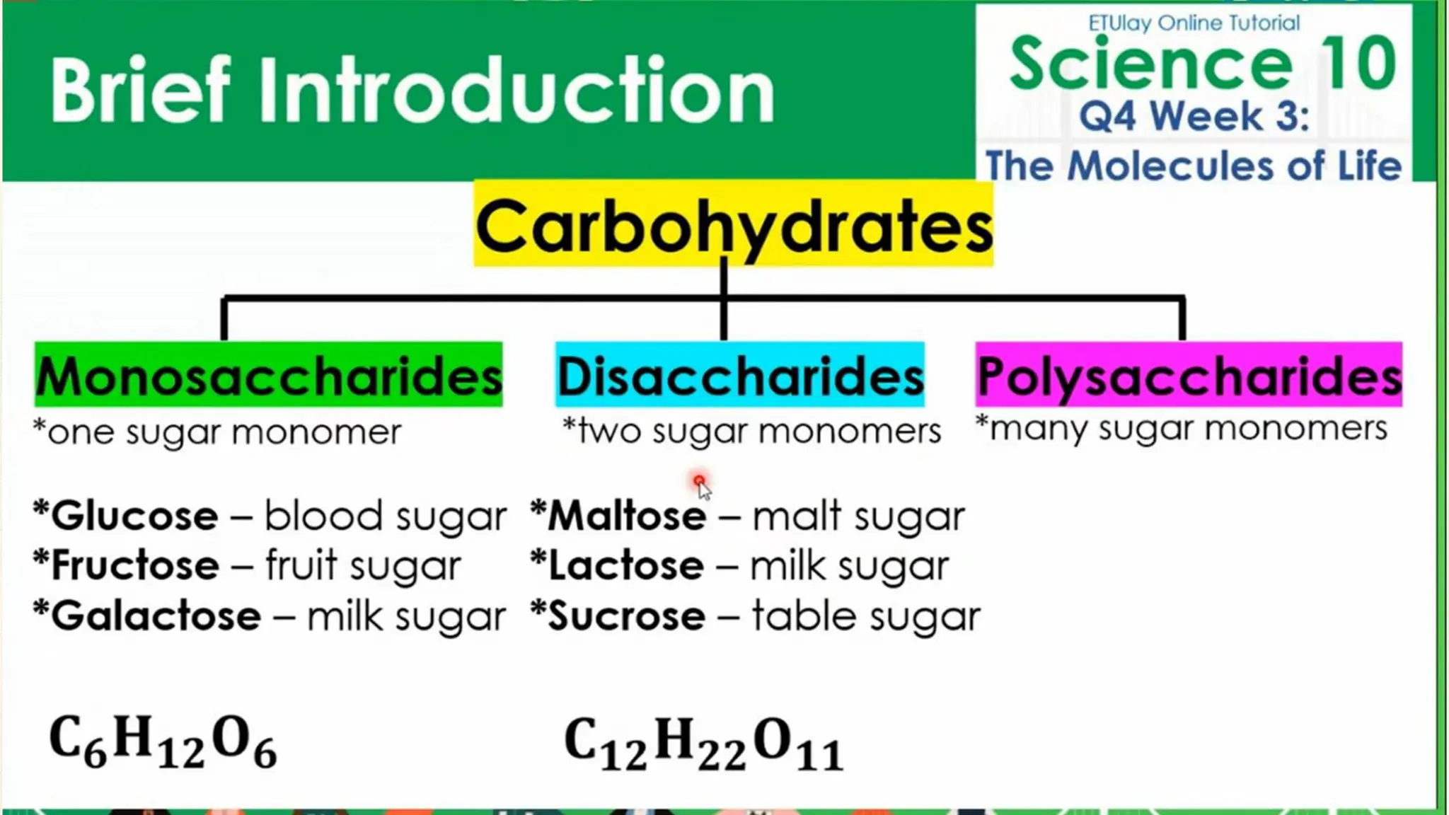 BIOMOLECULES_physical science presentation.pdf