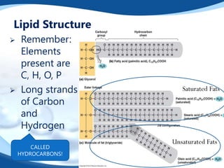 Biomolecules.pptx molecules molecules atoms | PPTX