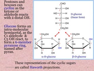 Carbohydrates - the carbohydrates are optically active polyhydroxy ...