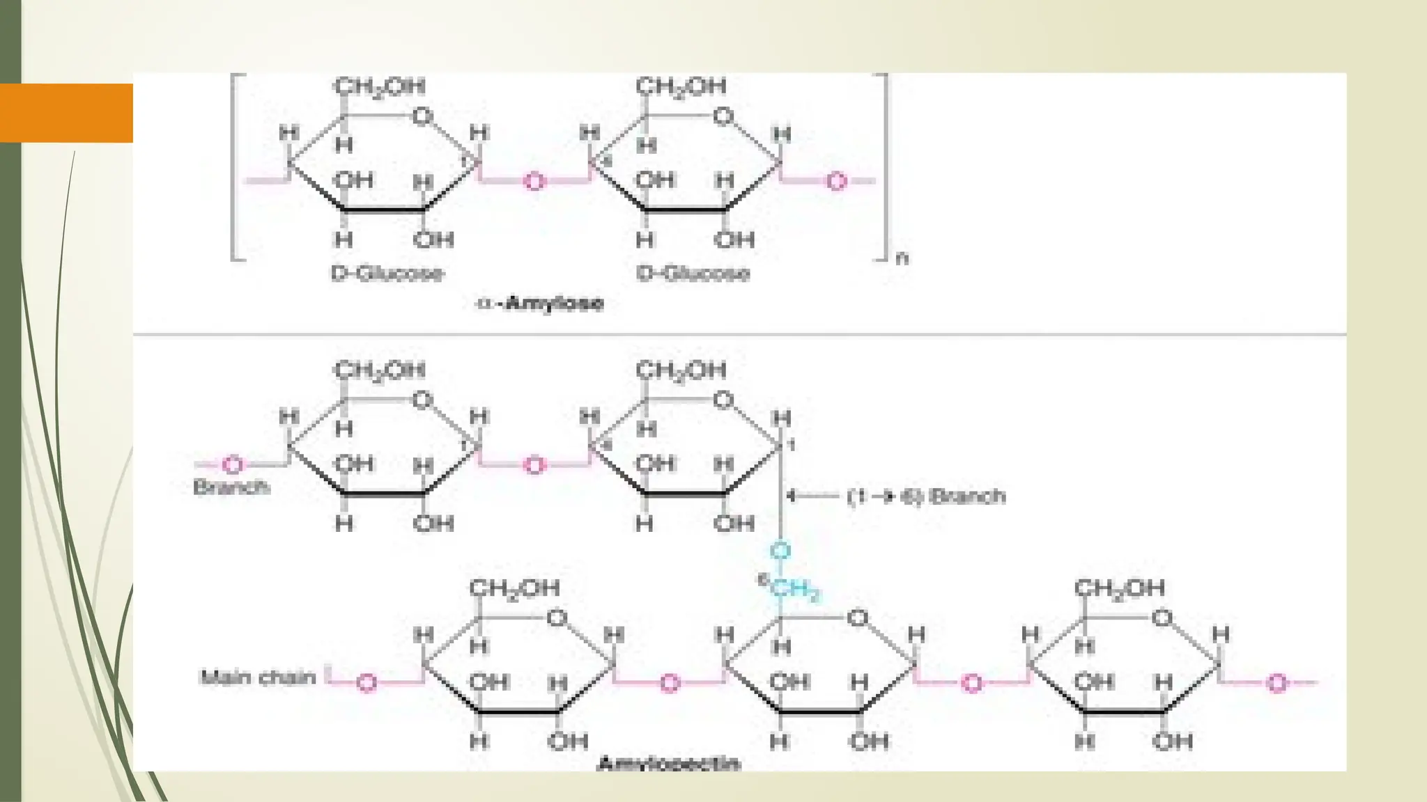 BIOMOLECULES biochemistry carbohydrates, | PPT