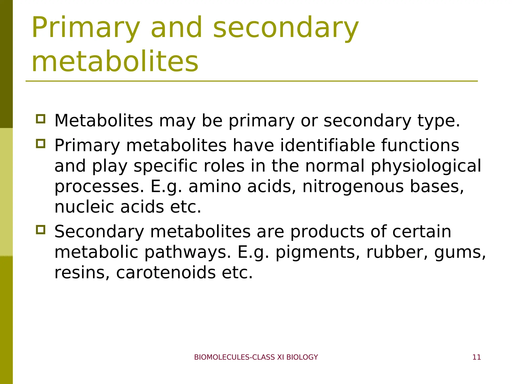 Important Biomolecules for cells 101.pdf