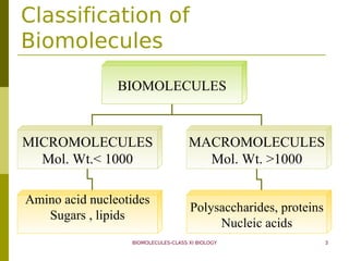 Important Biomolecules for cells 101.pdf