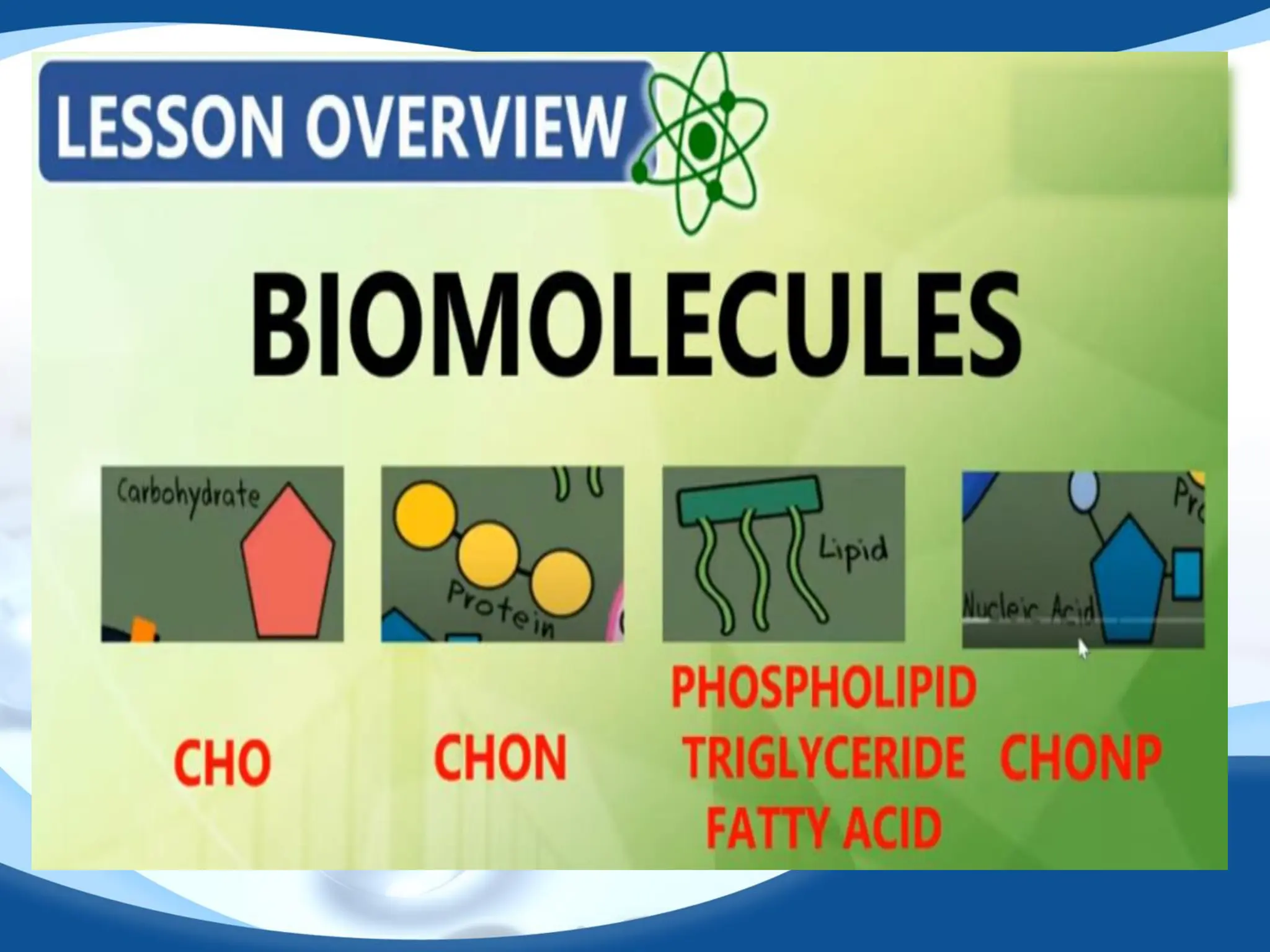 BIOMOLECULES.pdf lesson 1.1 (Physical Science Subject) | PDF