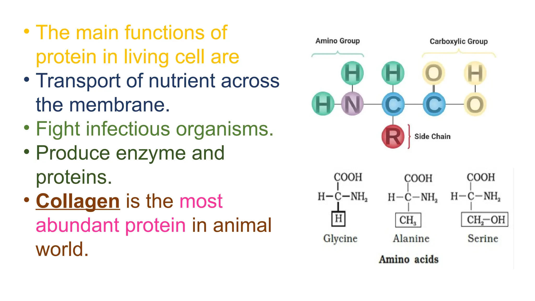 Biomolecules........................pptx