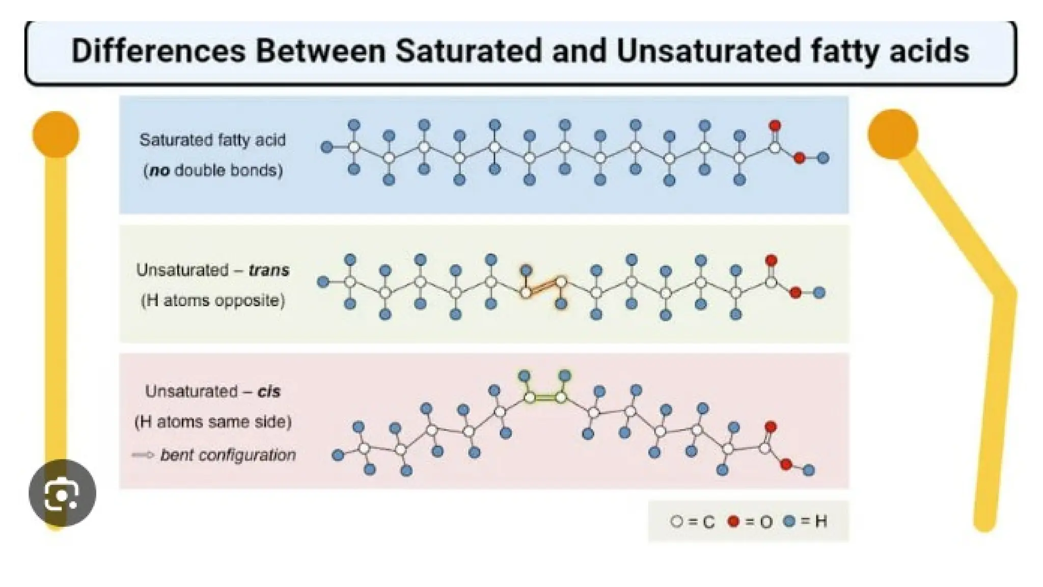 Biomolecules........................pptx