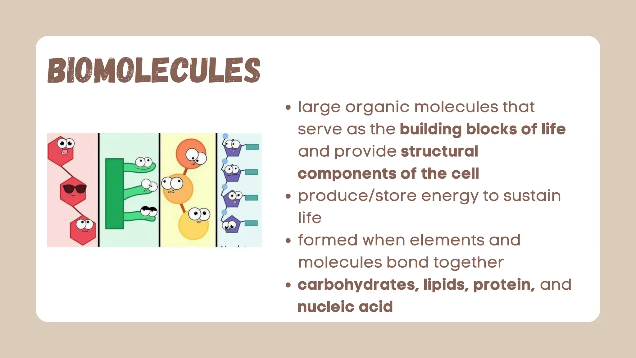 Biomolecules Biomolecules Biomolecules Biomolecules | PDF