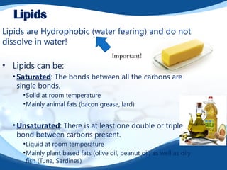 BIOMOLECULES (proteins, fats, carbohydrates | PPTX