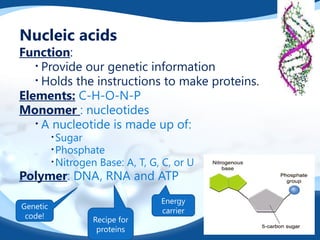 BIOMOLECULES (proteins, fats, carbohydrates | PPTX