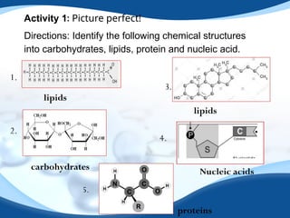 BIOMOLECULES (proteins, fats, carbohydrates | PPTX