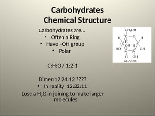 Biomolecules (The Molecules of Life.ppt