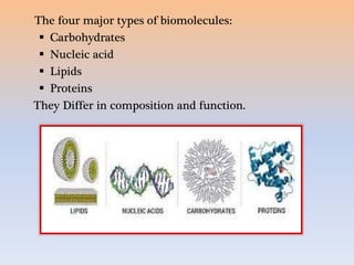 Biomolecules carbohydrate | PPTX