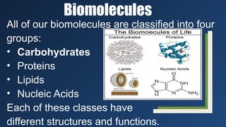 Biomolecules - for teacher CARBOHYDRATES.pptx