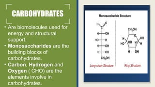 Biomolecules - for teacher CARBOHYDRATES.pptx