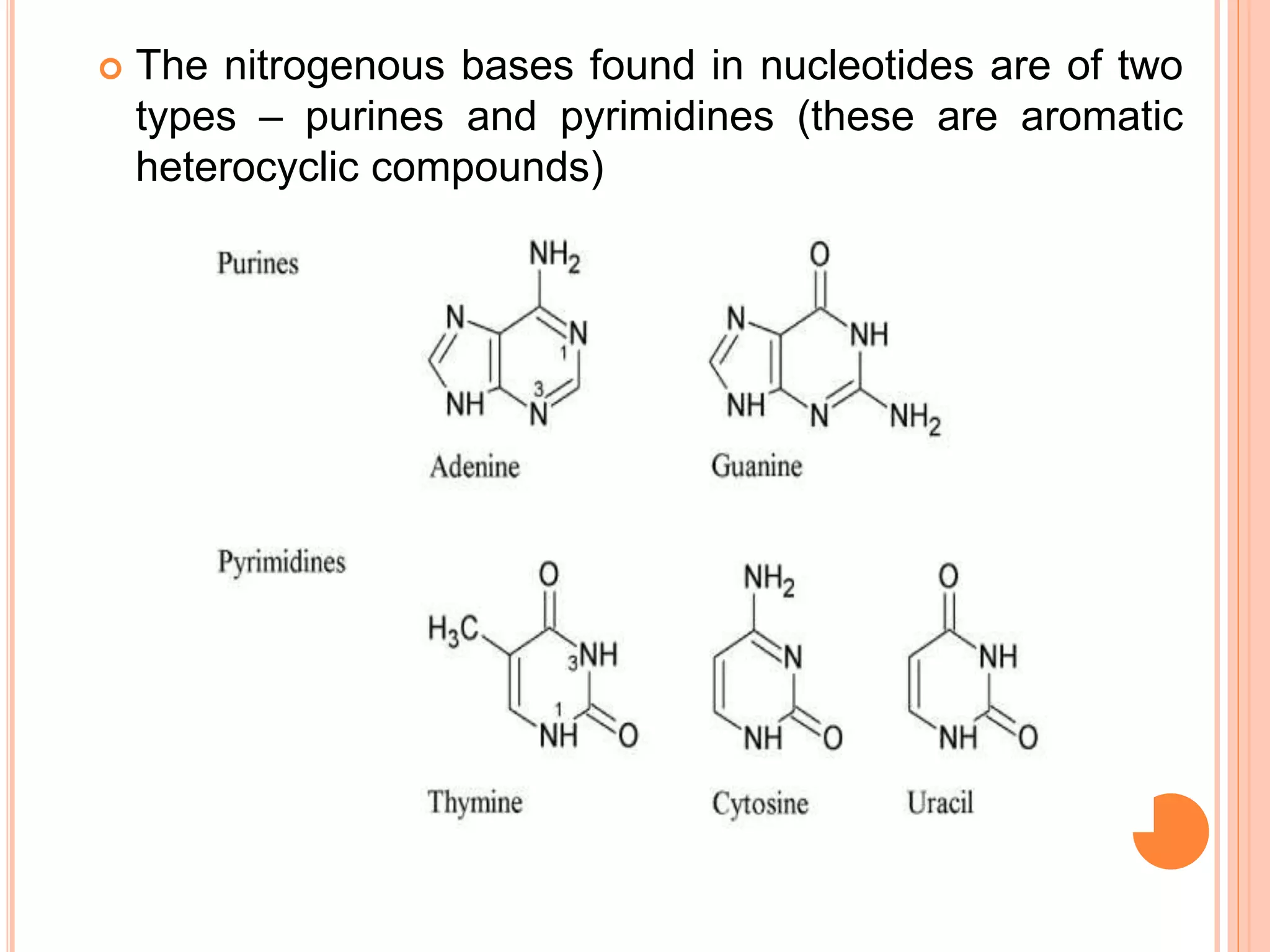 Biomolecules carbohydrates, lipids, nucleic acid | PPTX