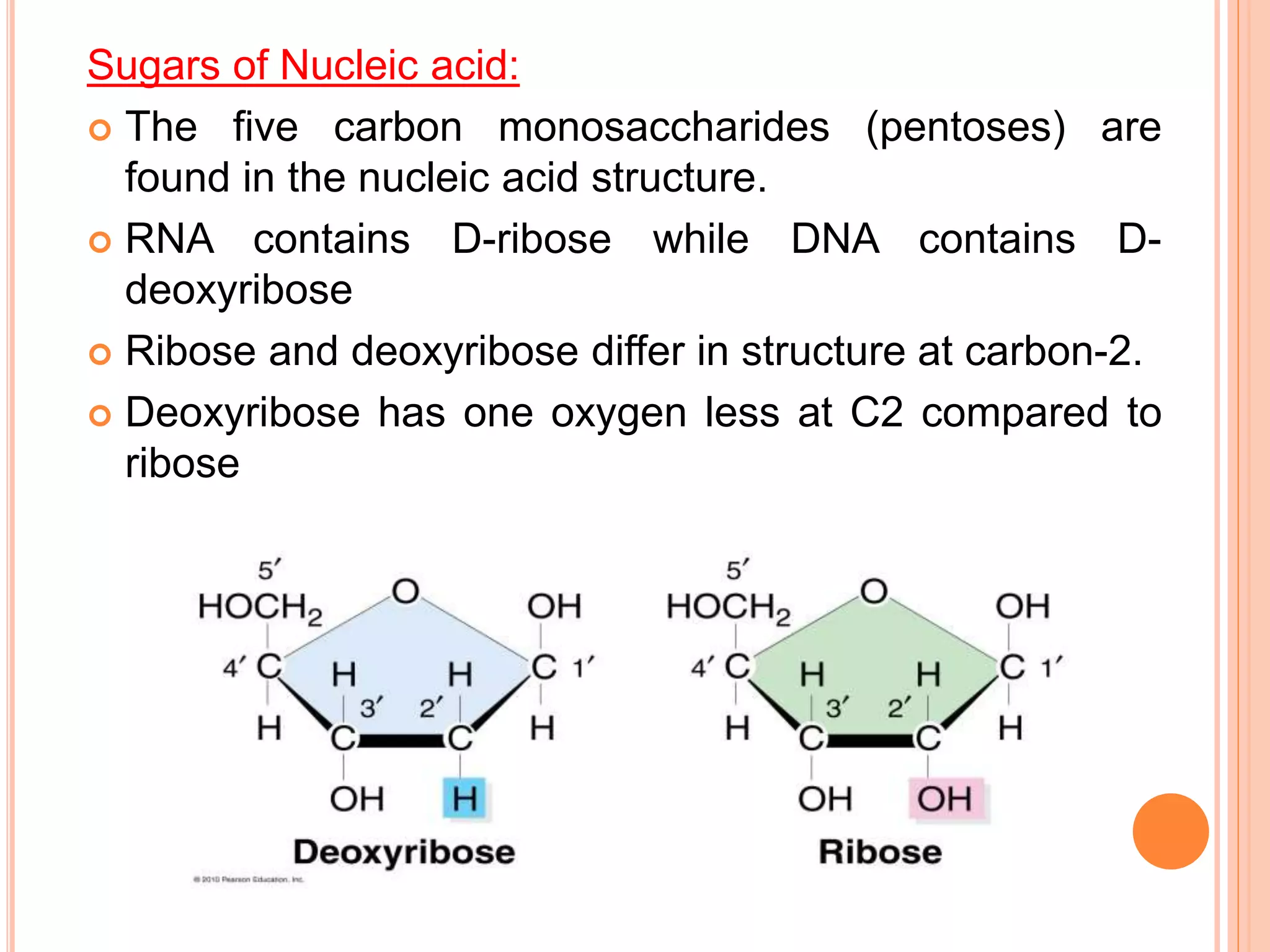 Biomolecules carbohydrates, lipids, nucleic acid | PPTX