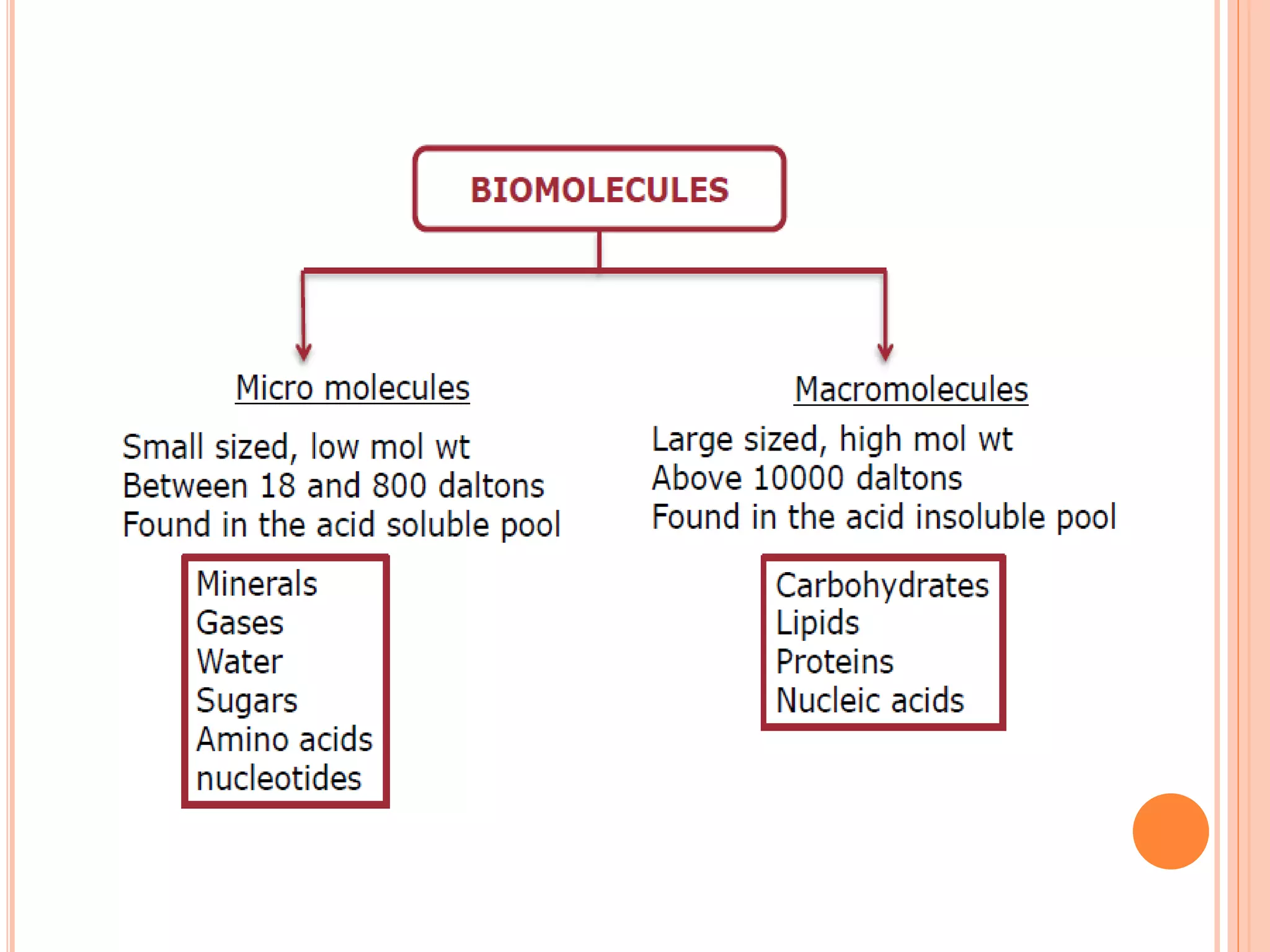 Biomolecules carbohydrates, lipids, nucleic acid | PPTX