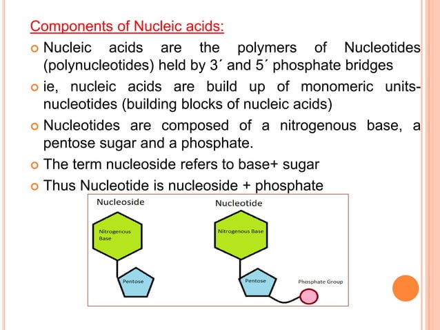 Biomolecules carbohydrates, lipids, nucleic acid | PPTX