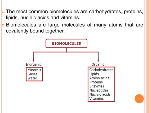 Biomolecules carbohydrates, lipids, nucleic acid | PPTX