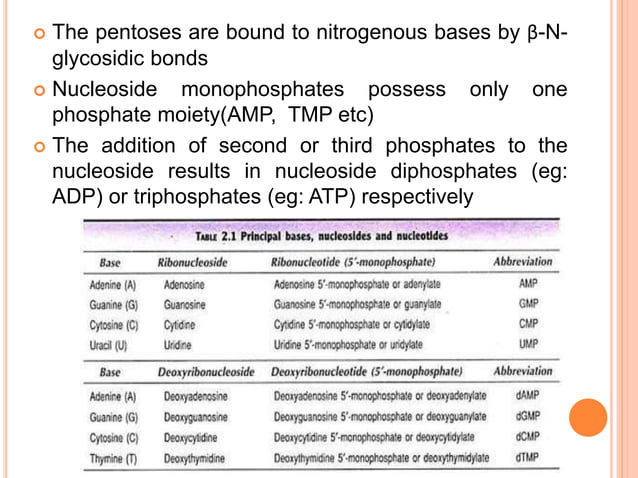 Biomolecules carbohydrates, lipids, nucleic acid | PPTX