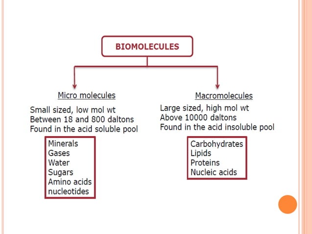 Biomolecules carbohydrates, lipids, nucleic acid | PPTX